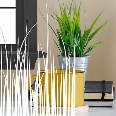 Grass Custom Window Film | Olee Creative