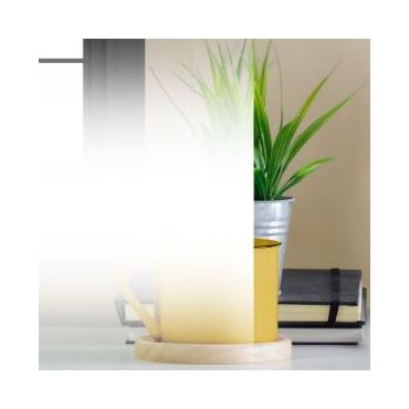 Dual Gradient Custom Window Film | Olee Creative